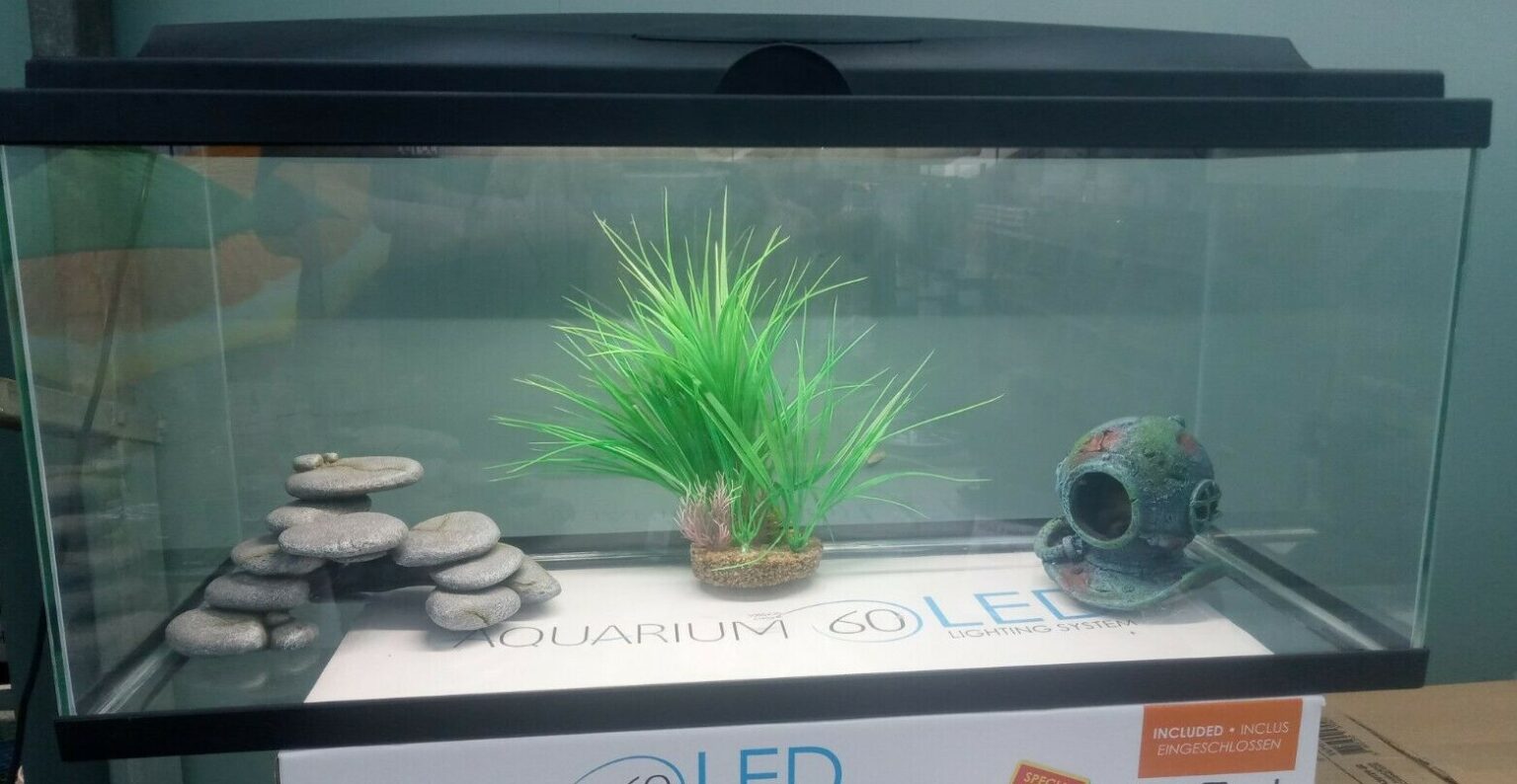 Ciano Aqua 80 in Black aquarium complete set up 74l - Friendly Fish ...